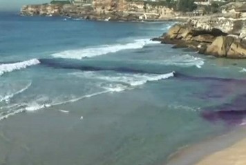 What is a Rip - How to Spot and Safely Escape and Get out of Rip Currents